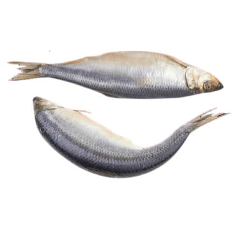 Shawa Fish – 1kg – ShopOnClick
